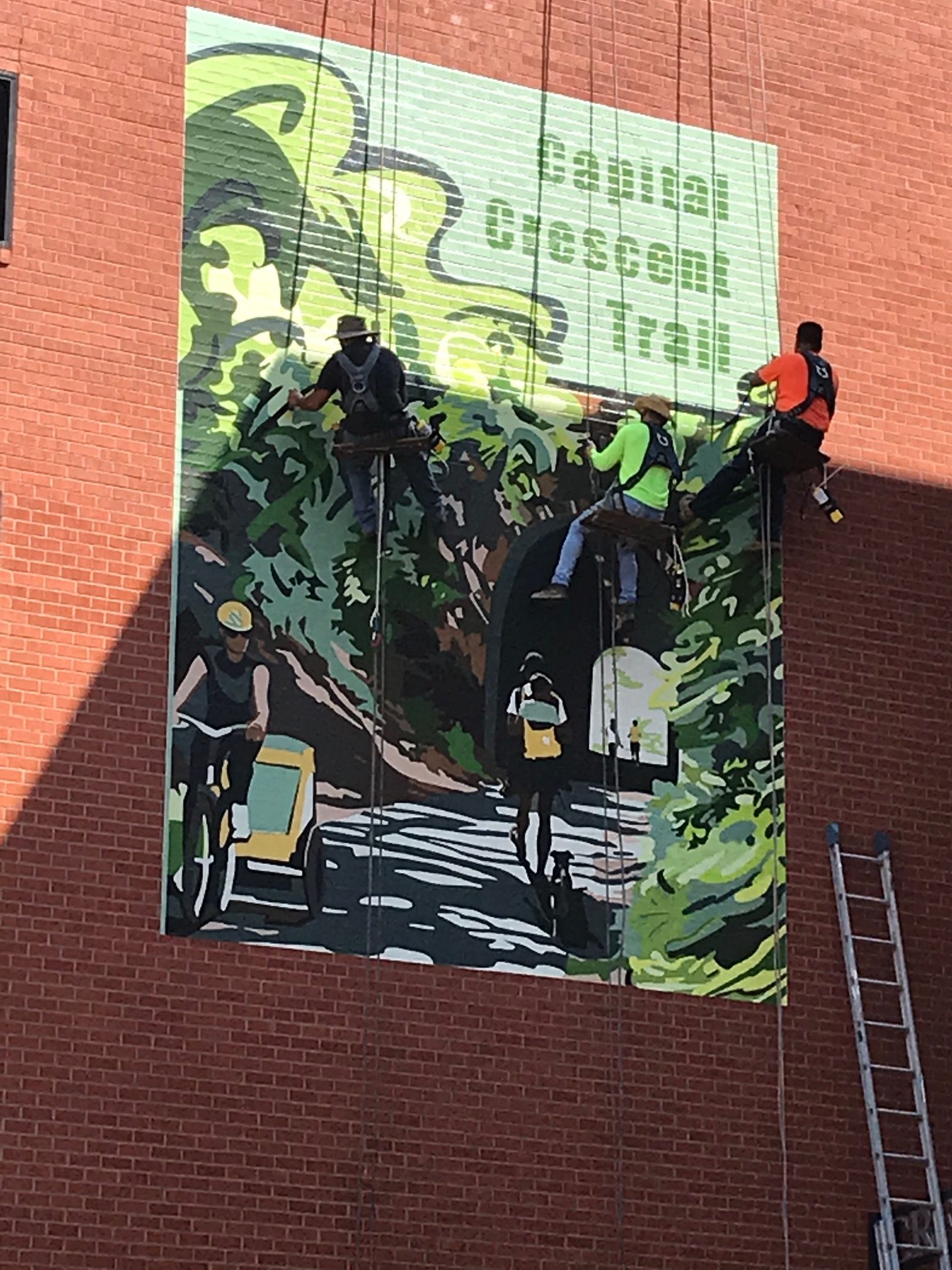 We Can Wrap Almost Anything! - BrandVizion